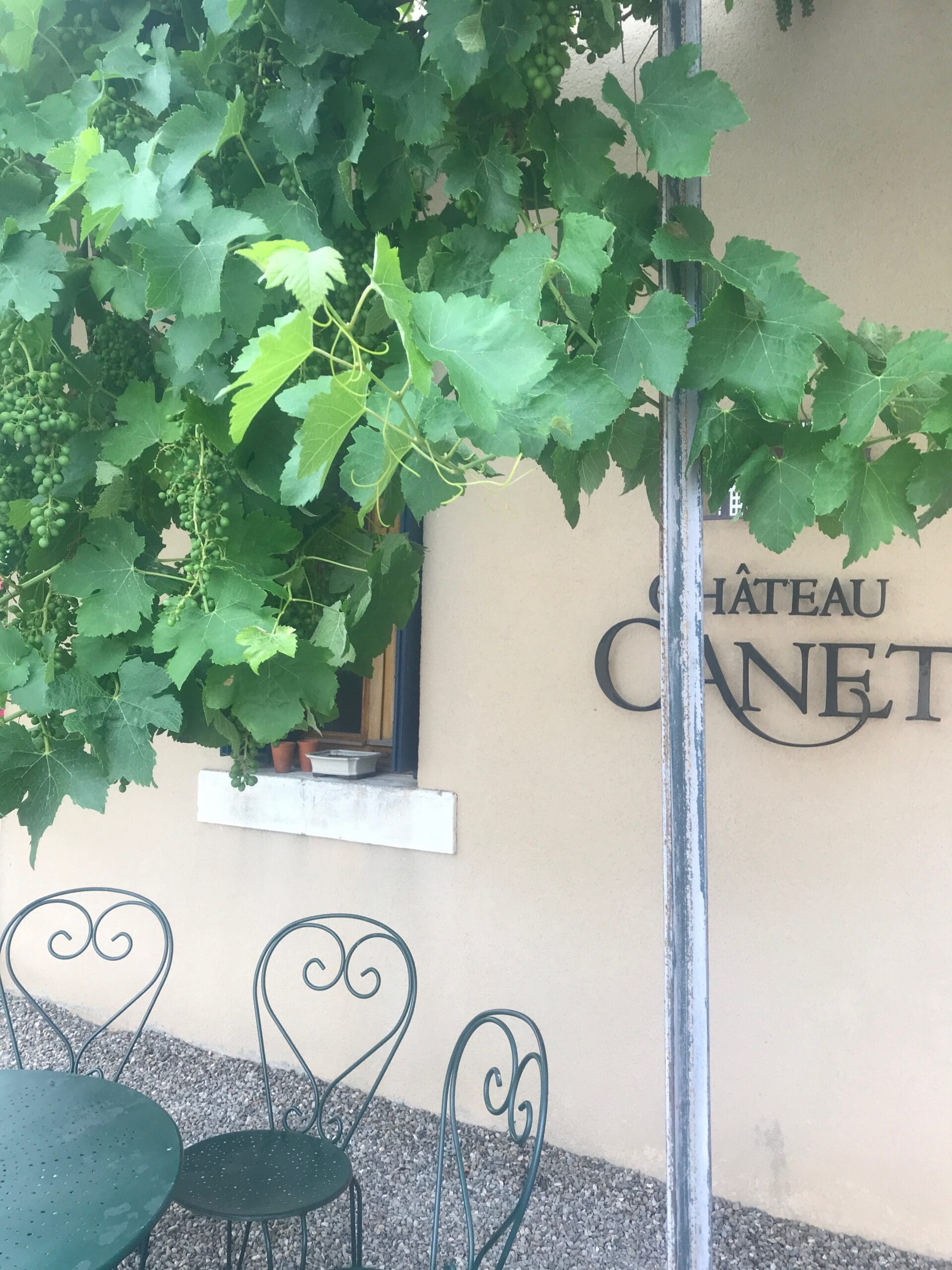 Discovering Occitanie Wine and Food