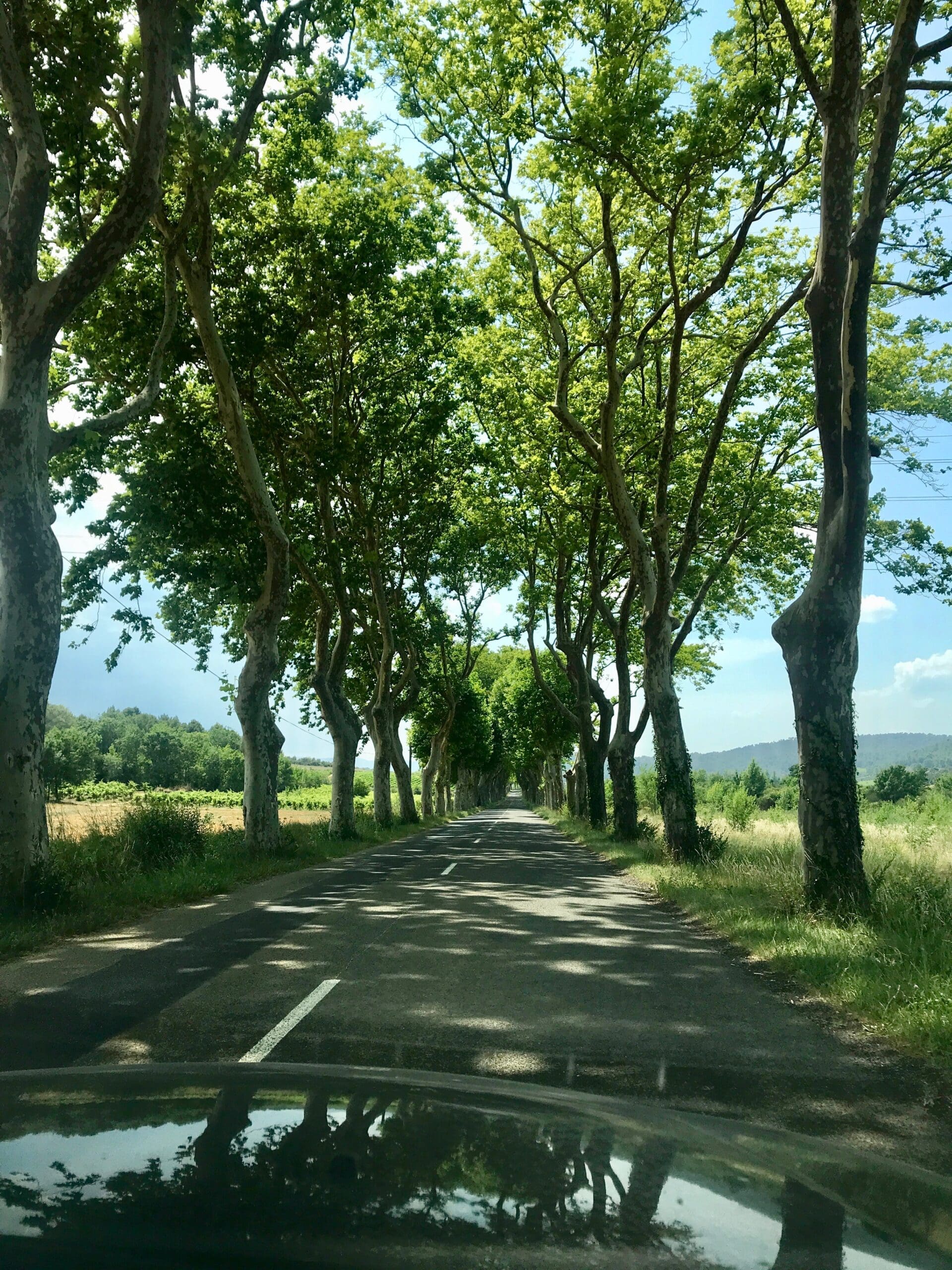 Discovering Occitanie Wine and Food